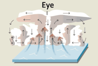 Hong Kong's Rain & Typhoon Signals, Explained - The HK HUB