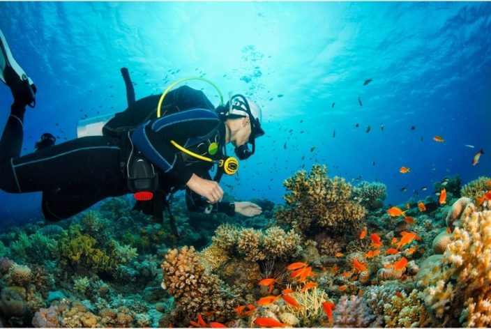 Palawan Travel Guide: Where To Stay, Eat & Play - The HK HUB