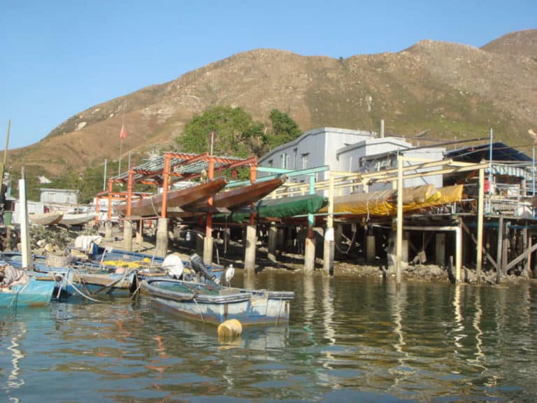 What To Do, See, Eat, Drink, and Shop In Tai O - The HK HUB