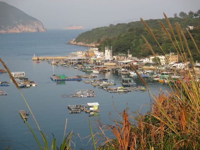 Hung Shing Festival: The South Sea Deity - The HK HUB