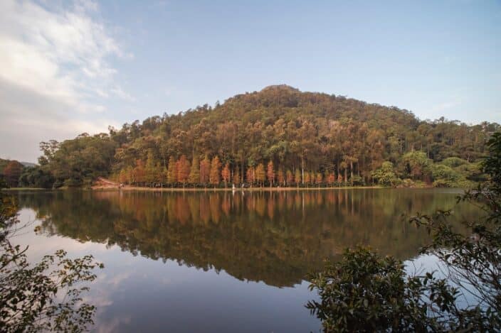 15 Best Country Parks In Hong Kong (Updated 2026)