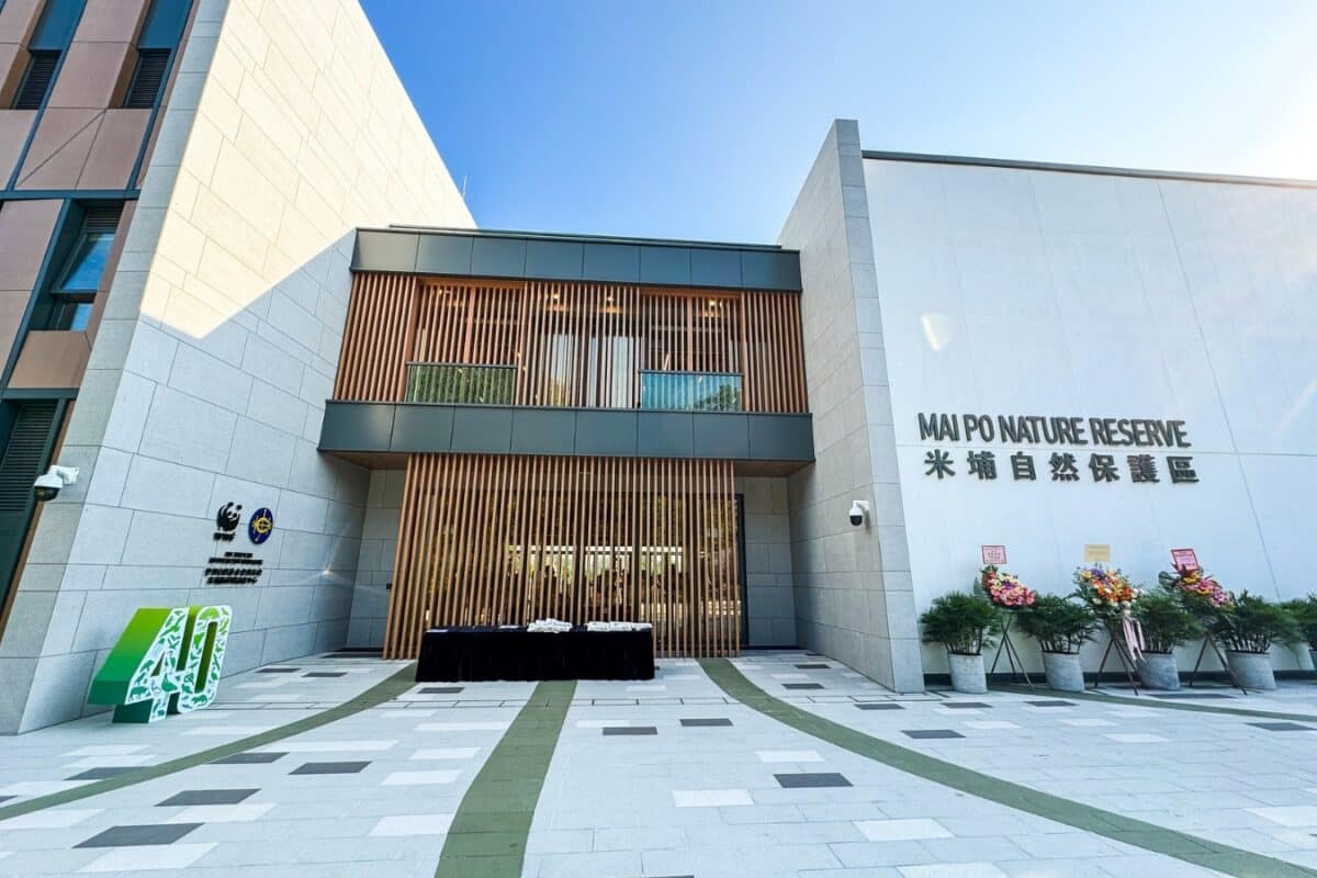 Mai Po Nature Reserve Opens To Overnight Visitors - The HK HUB