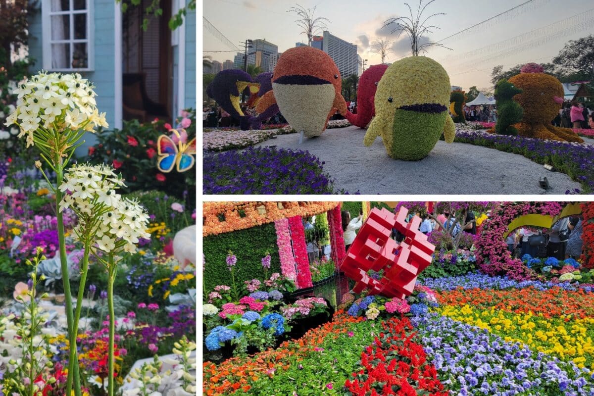 Hong Kong Flower Show 2024 Opens Tomorrow Until March 24 - The HK HUB