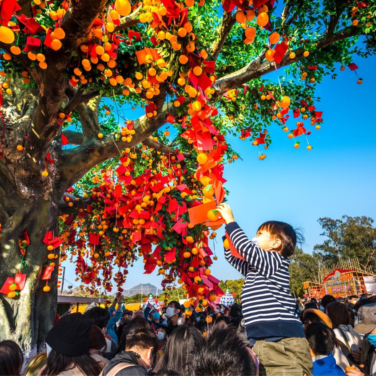 Chinese Wishing Tree Chinese Wishing Tree In Guilin China