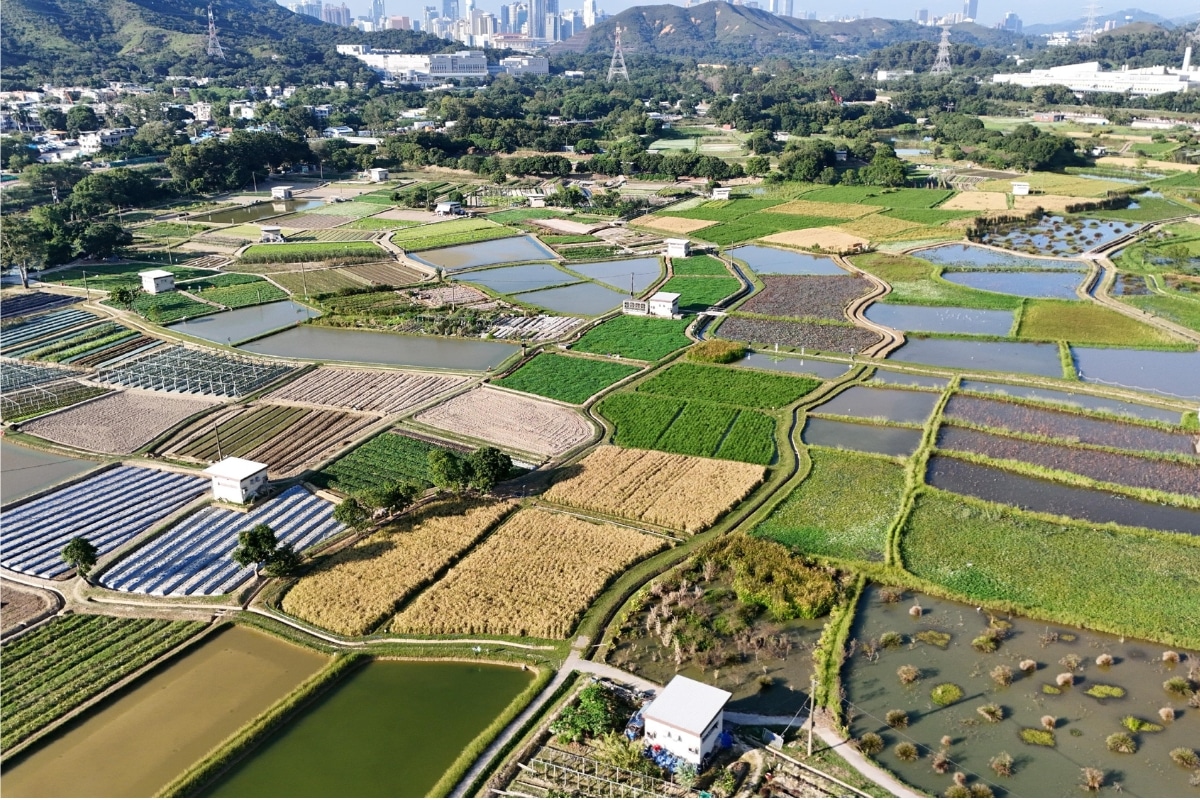Hong Kong Gets a New Eco-Destination as 37-Hectare Nature Park Opens in ...