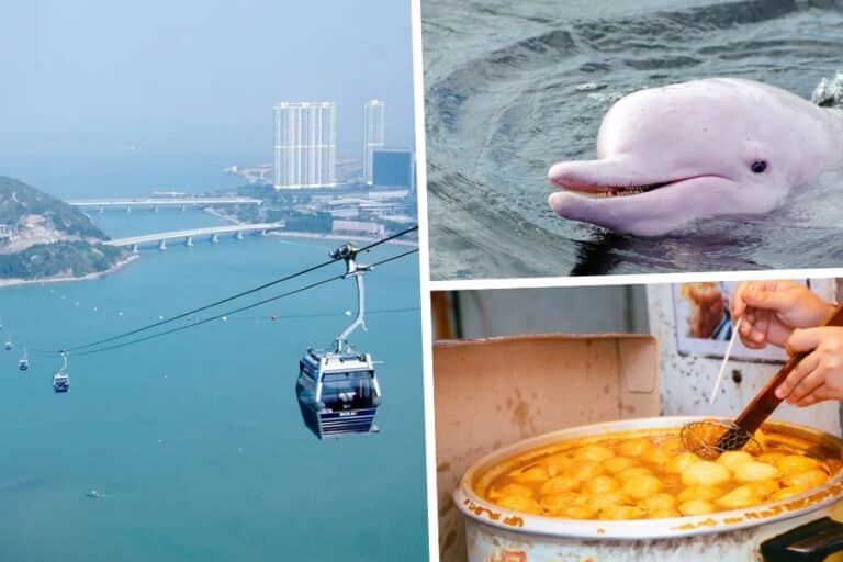 14 Best Tours, Excursions & Day Trips in Hong Kong (Updated 2026)