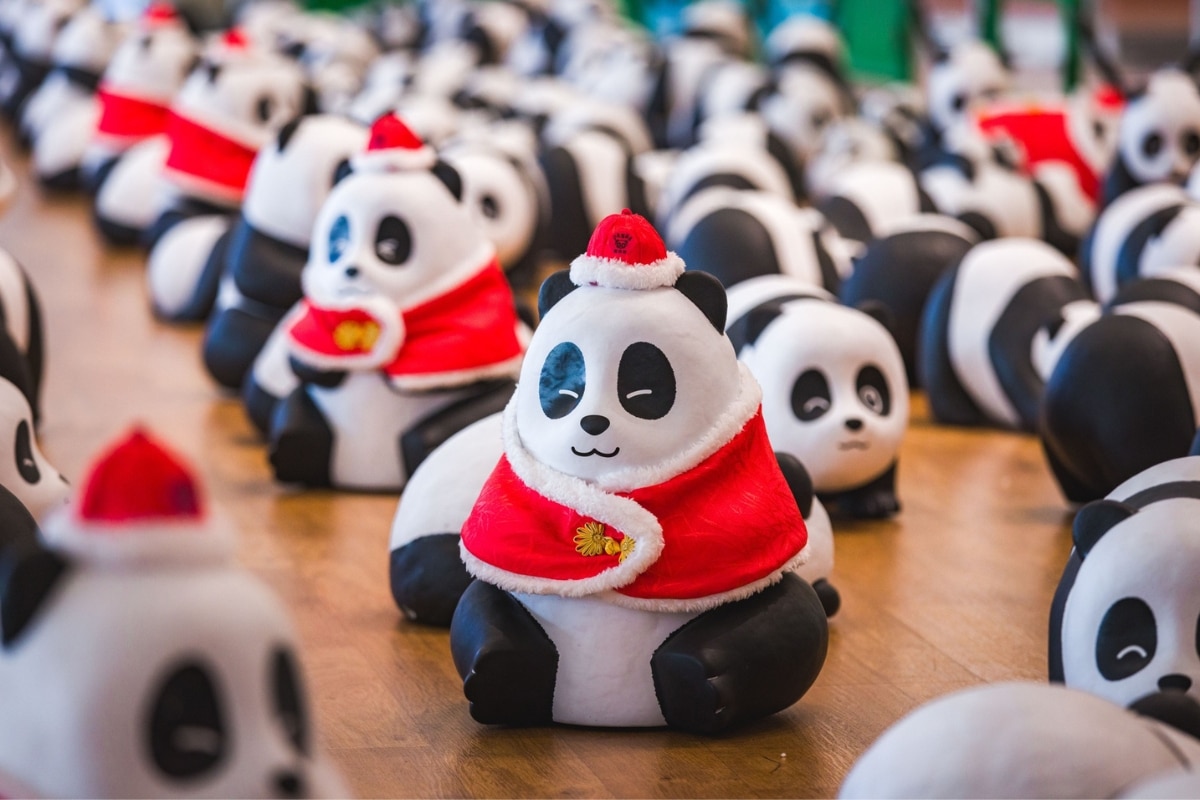 800 Pandas Go on Display in Tsuen Wan Until March 6 - The HK HUB