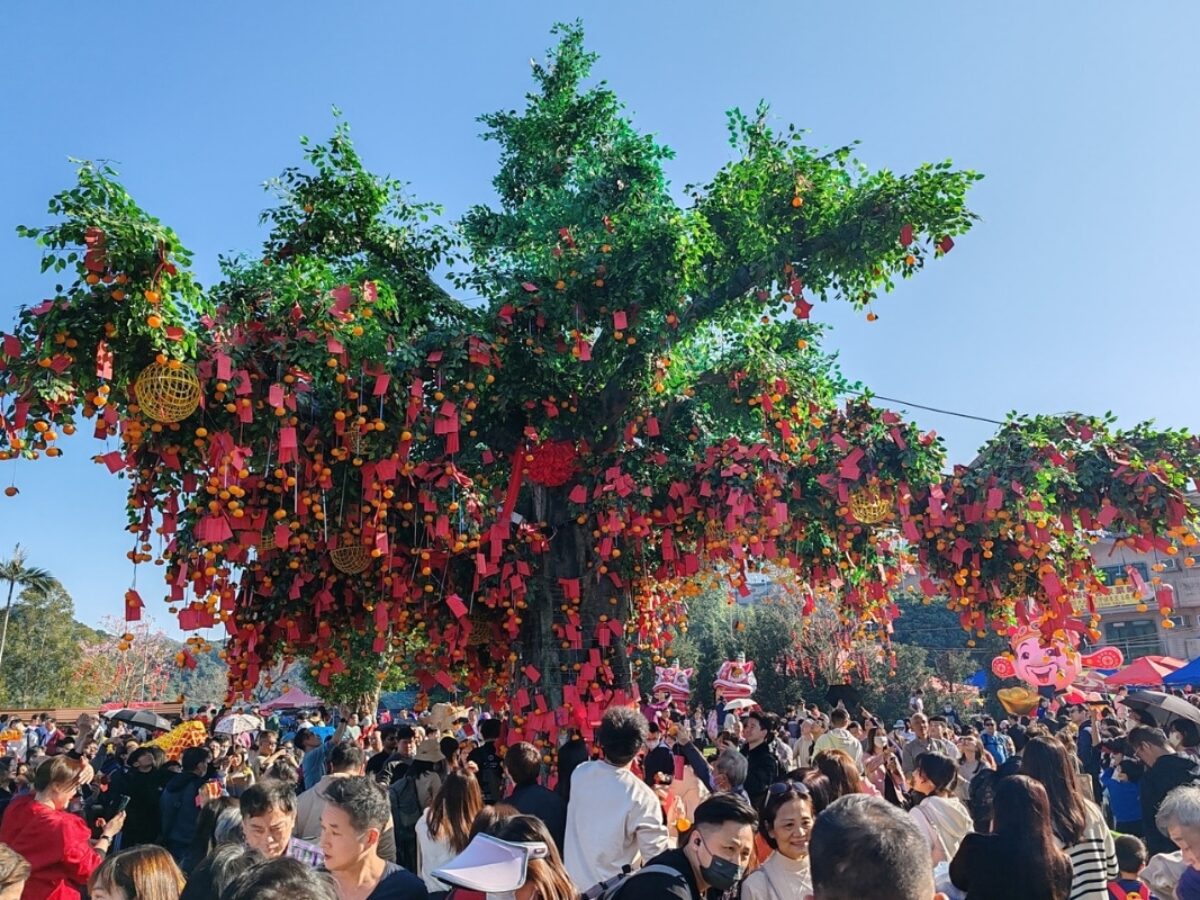 Wishing Tree Lam Tsuen Well Wishing Festival Returns For 2024 Chinese